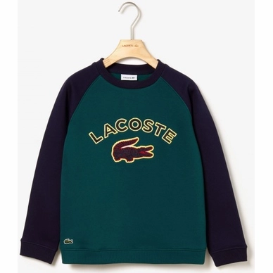 Lacoste sweatshirt kids store